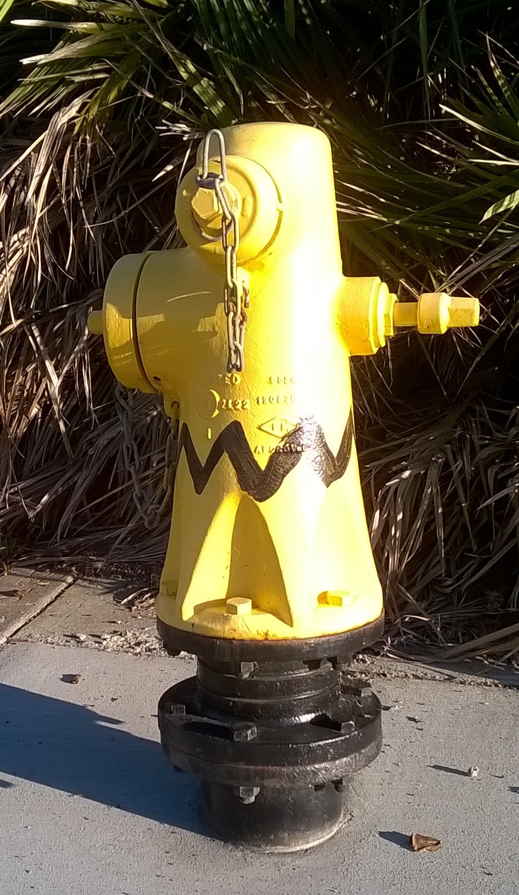 Scott Pearce.com › Nostalgia is a longing for something you couldn't ...